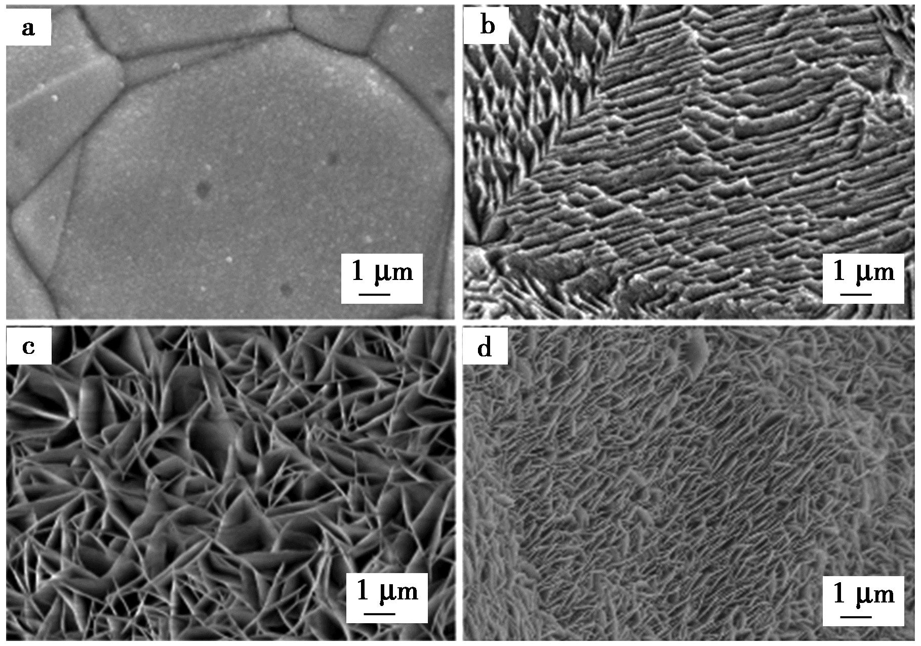 电化学和新能源