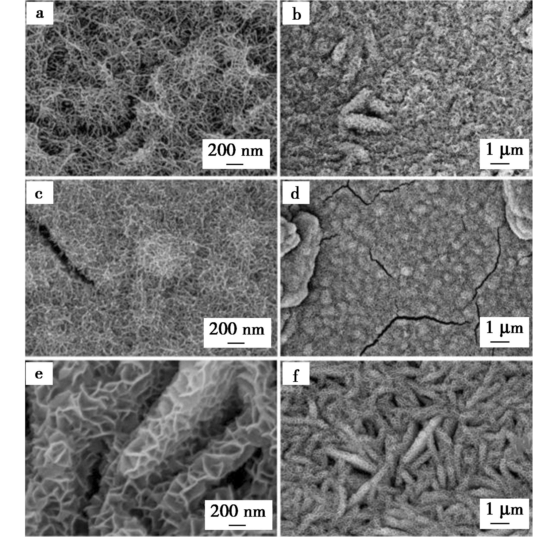 电化学和新能源